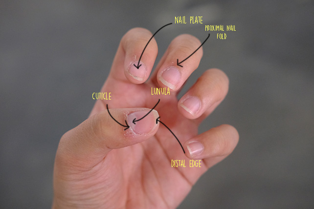 Female Daily Editorial - Cara Merawat Kutikula Kuku yang Kering