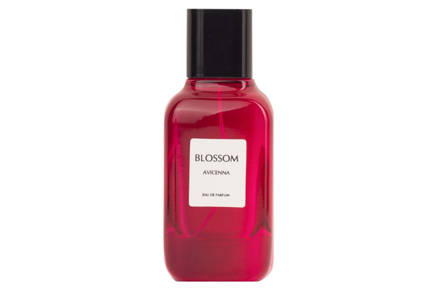 Female Daily Editorial - Kenalan dengan Avicenna, Brand Parfum Lokal ...