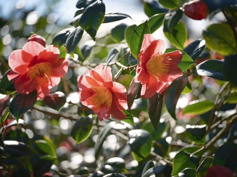 Female Daily Editorial - Serunya Mengeksplor Chanel Open Sky Laboratory ...