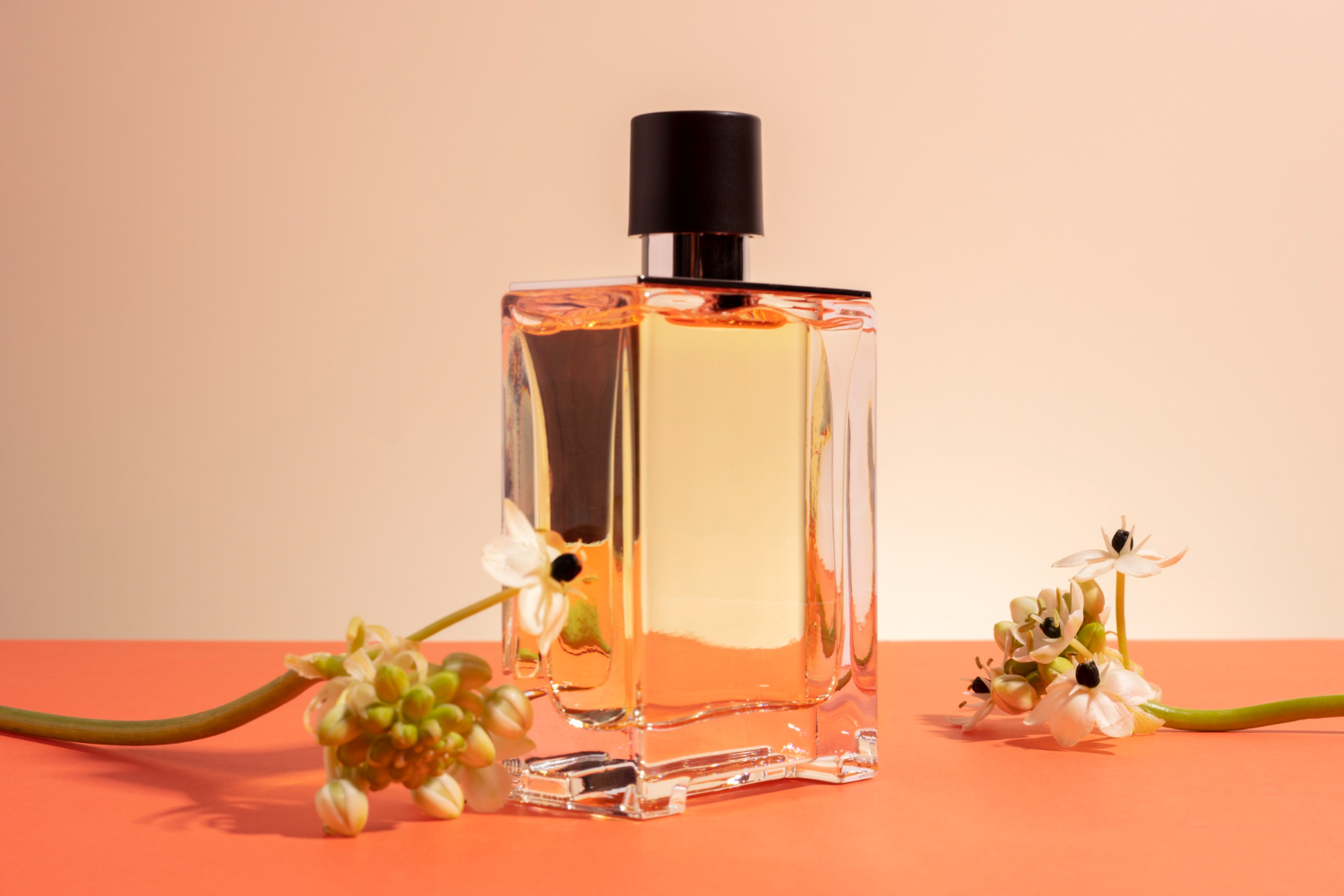 Female Daily Editorial - Beautypedia: Wangi Parfum Kamu Dibilang ...